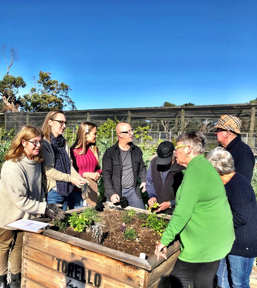 Workshops — Torello Farm