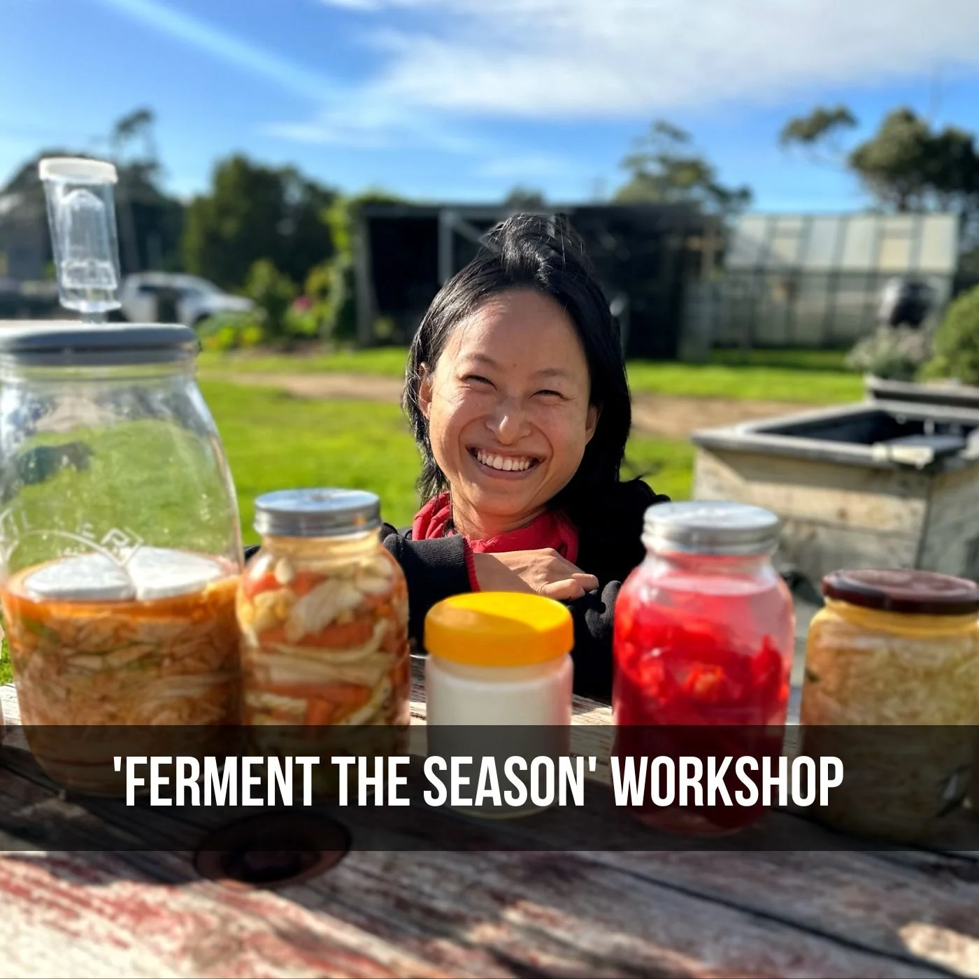Workshops — Torello Farm