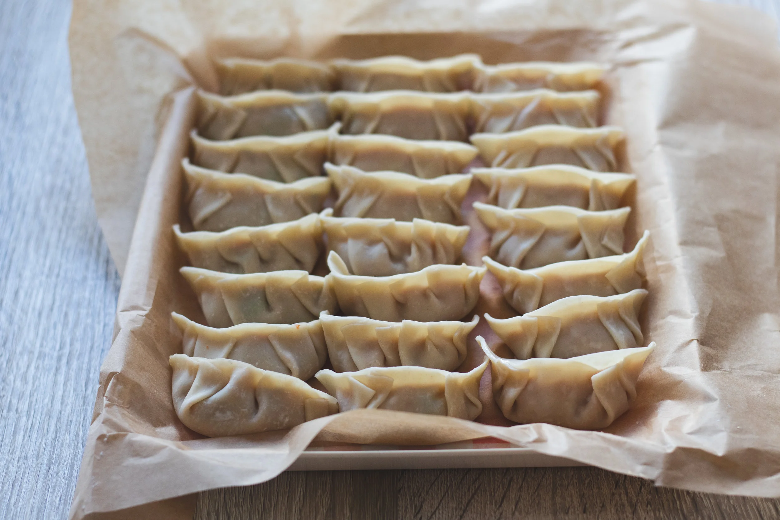 Gyoza 2 ways: pork & cabbage, chicken & mushrooms — Cinder Block