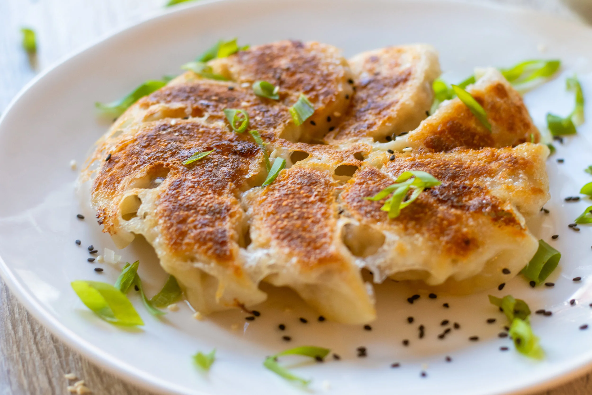 Gyoza 2 ways: pork & cabbage, chicken & mushrooms — Cinder Block