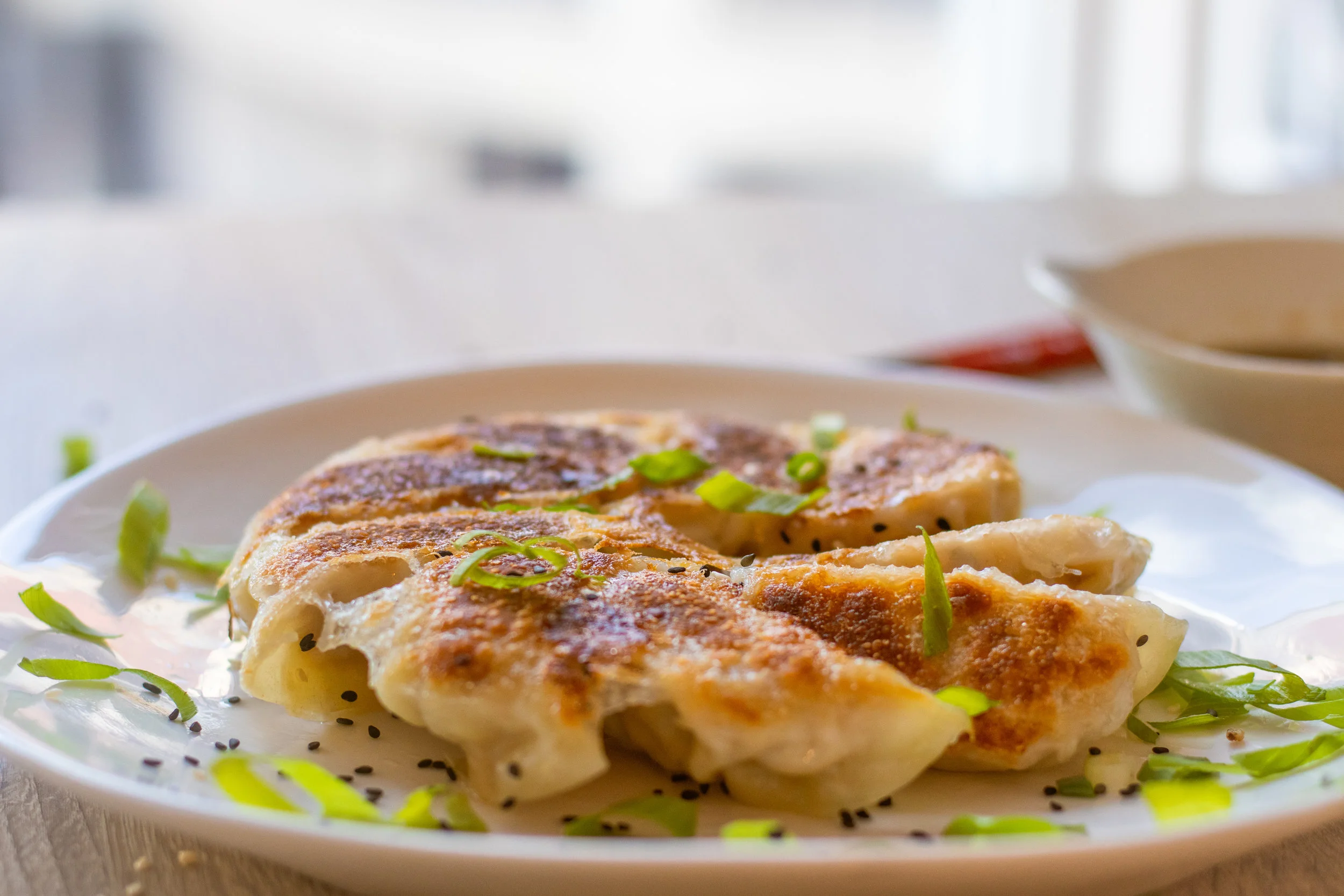 Gyoza 2 ways: pork & cabbage, chicken & mushrooms — Cinder Block