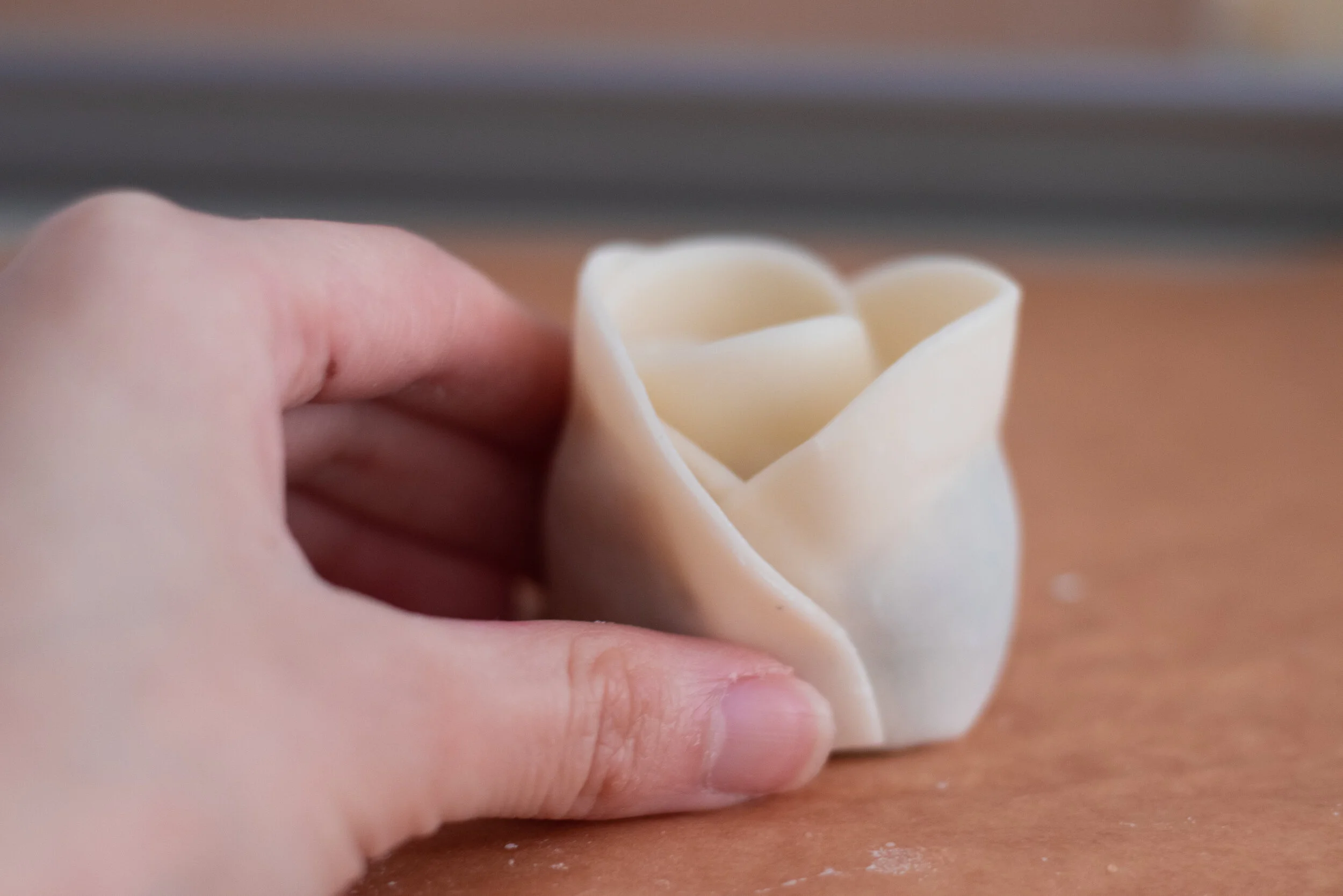 Valentine's Day Dim Sum - Rose dumplings — Cinder Block
