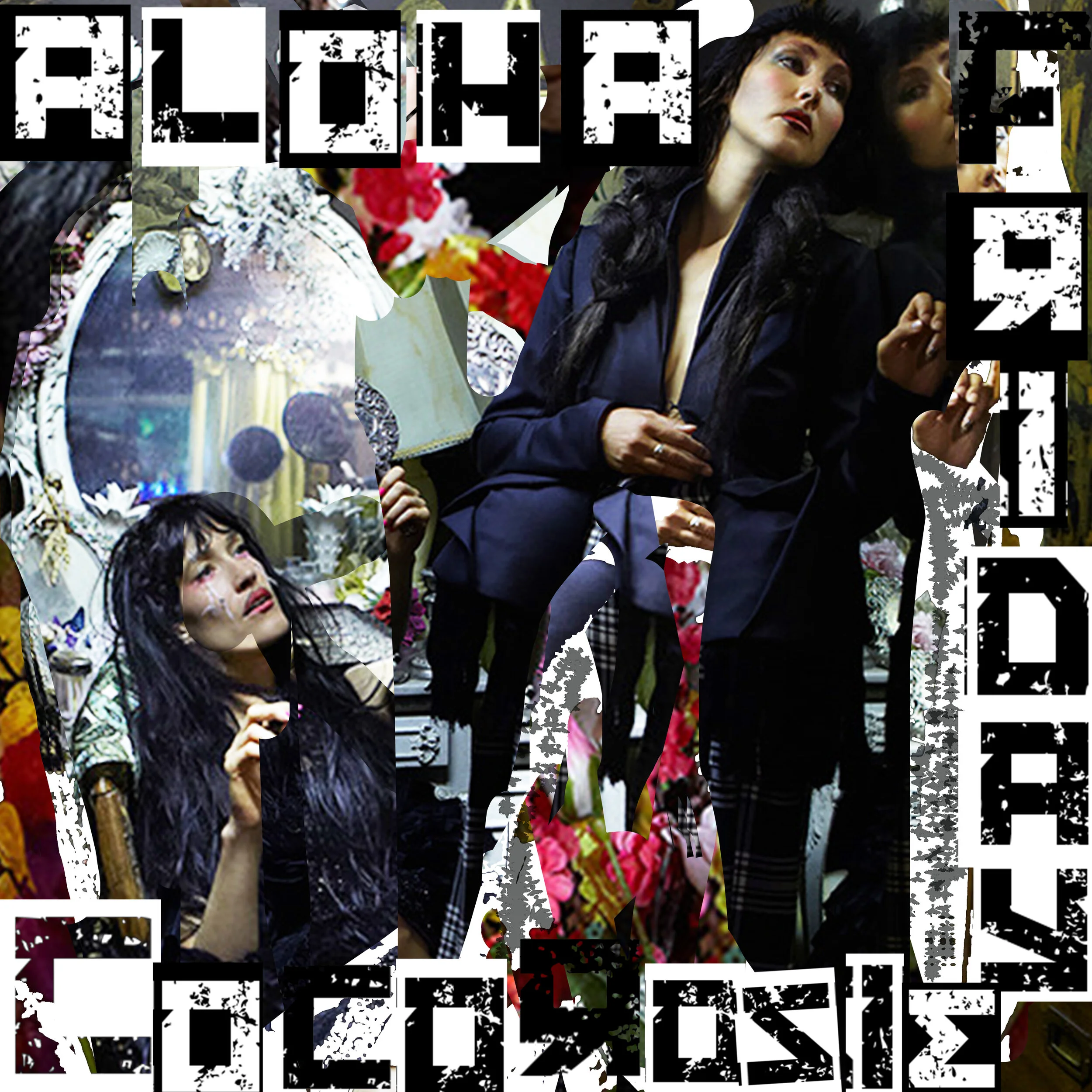 News — cocorosie