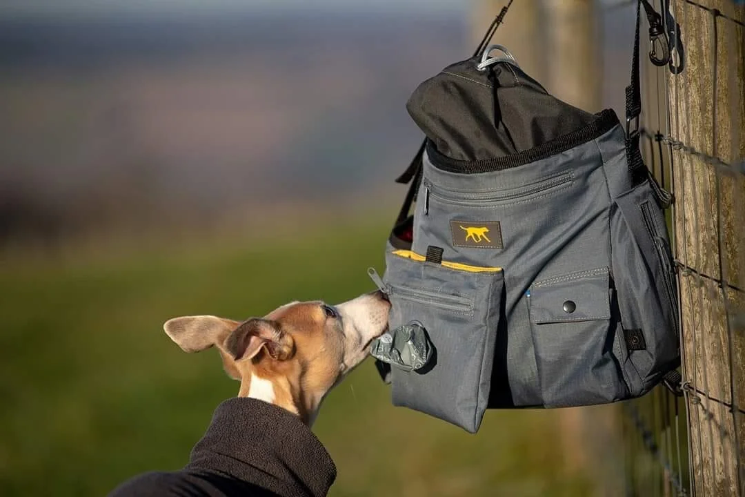 Dog walking bag - Ridgebag