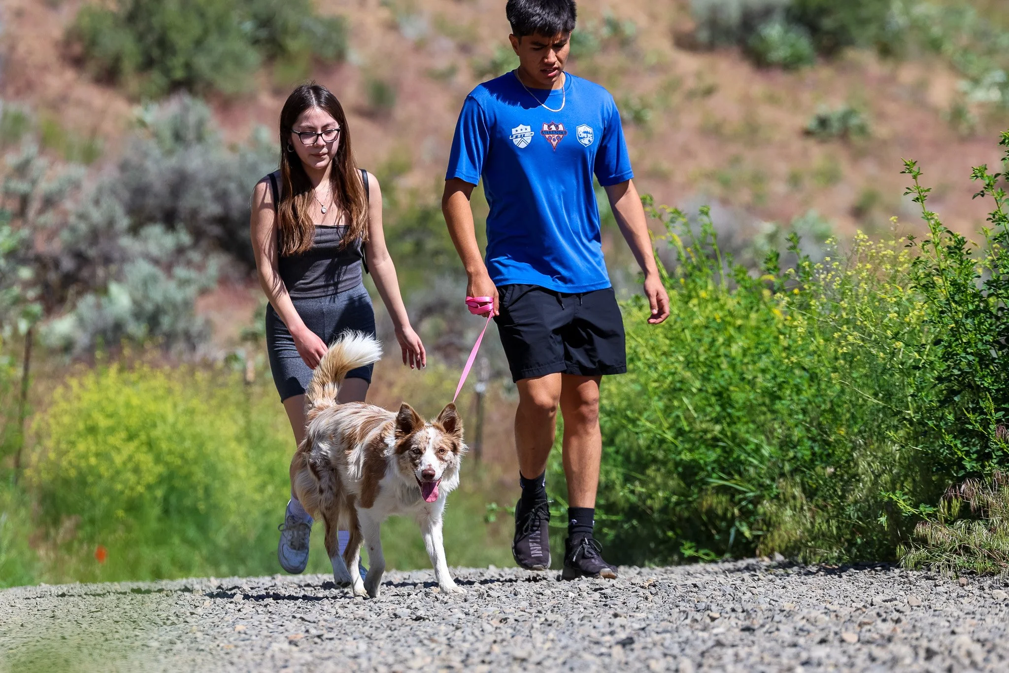Pets & People Outdoors Initiative — Wenatchee Valley Humane Society