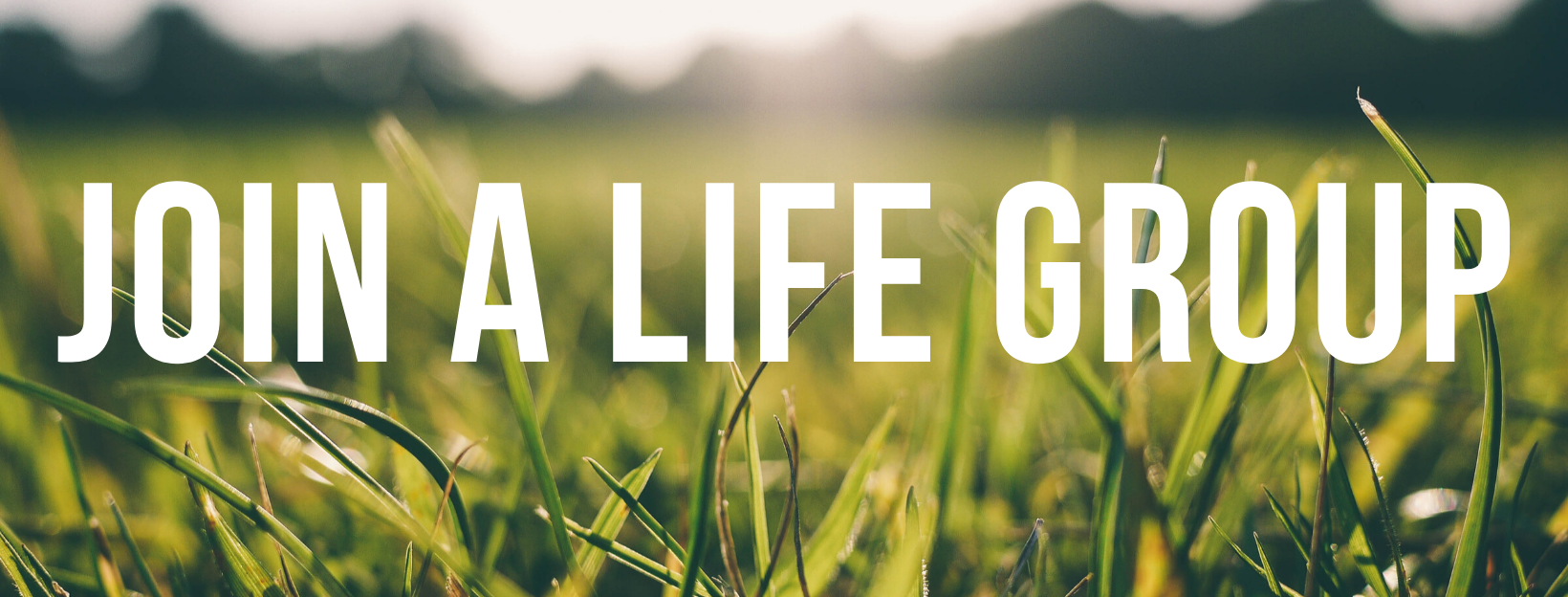 Southfield Christian Fellowship