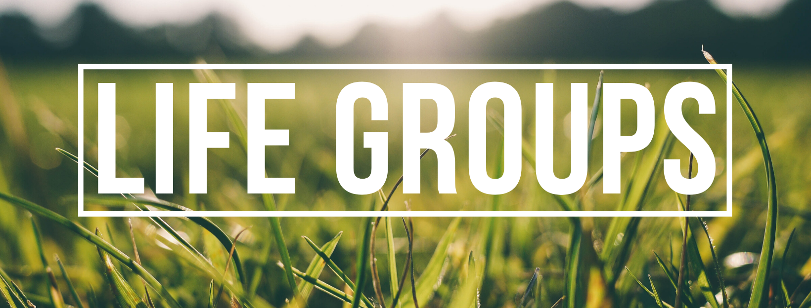 Life Groups — Southfield Christian Fellowship