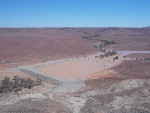 Arckaringa — Williams Cattle Company