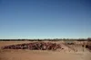 Work with us - Williams Cattle Company — Williams Cattle Company