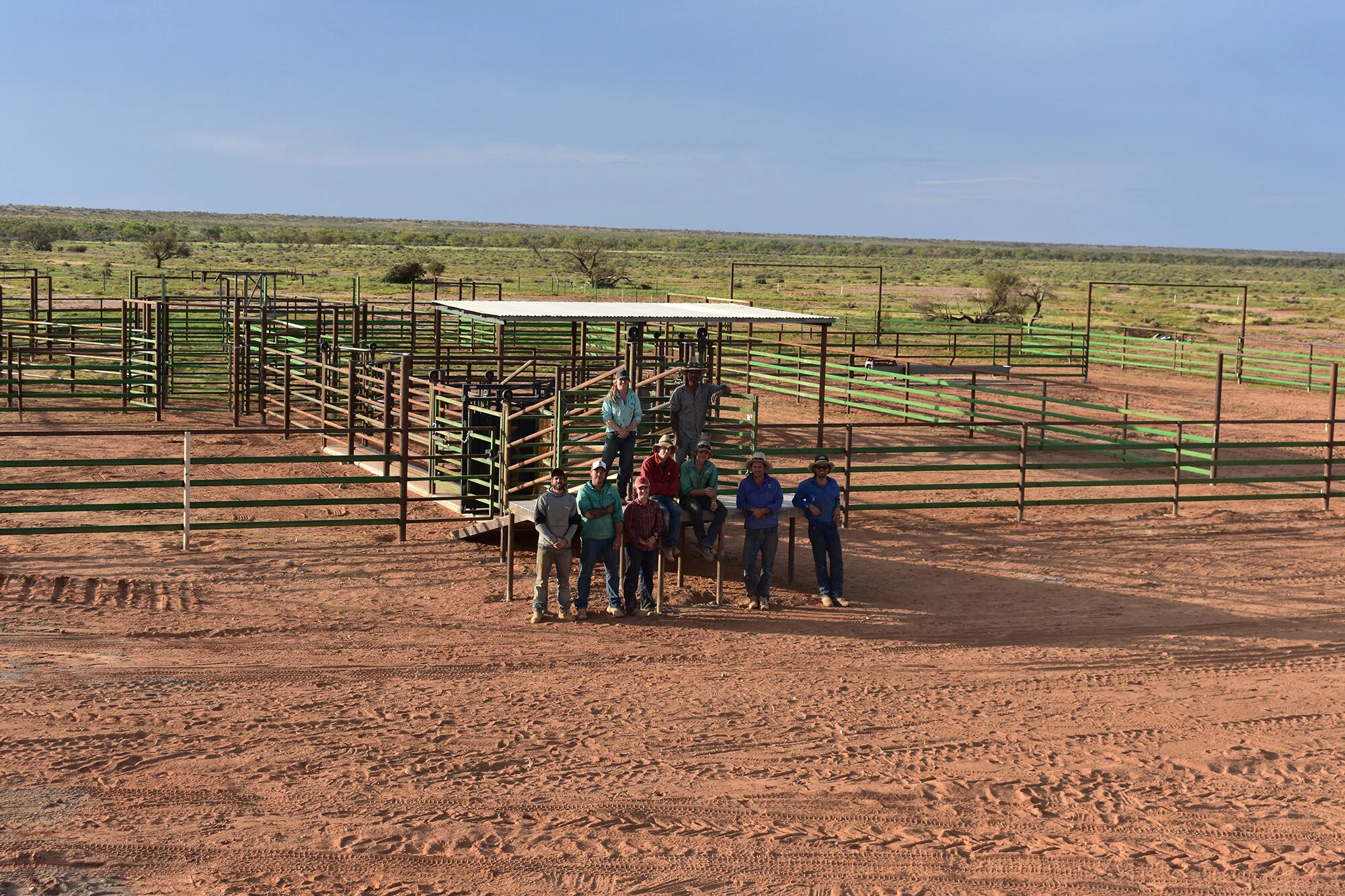 Anna Creek — Williams Cattle Company