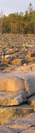 Höga Kusten: the world's highest uplift of land