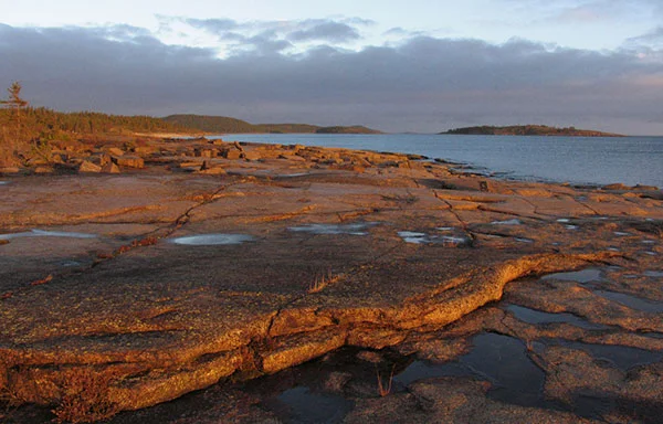 Cruising along spectacular shorelines, hiking closely to Nordic nature ...