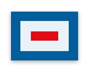 Play to Sail: flags & starting signals of a rc sailing race made easy