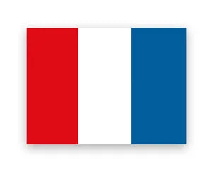 Play to Sail: flags & starting signals of a rc sailing race made easy