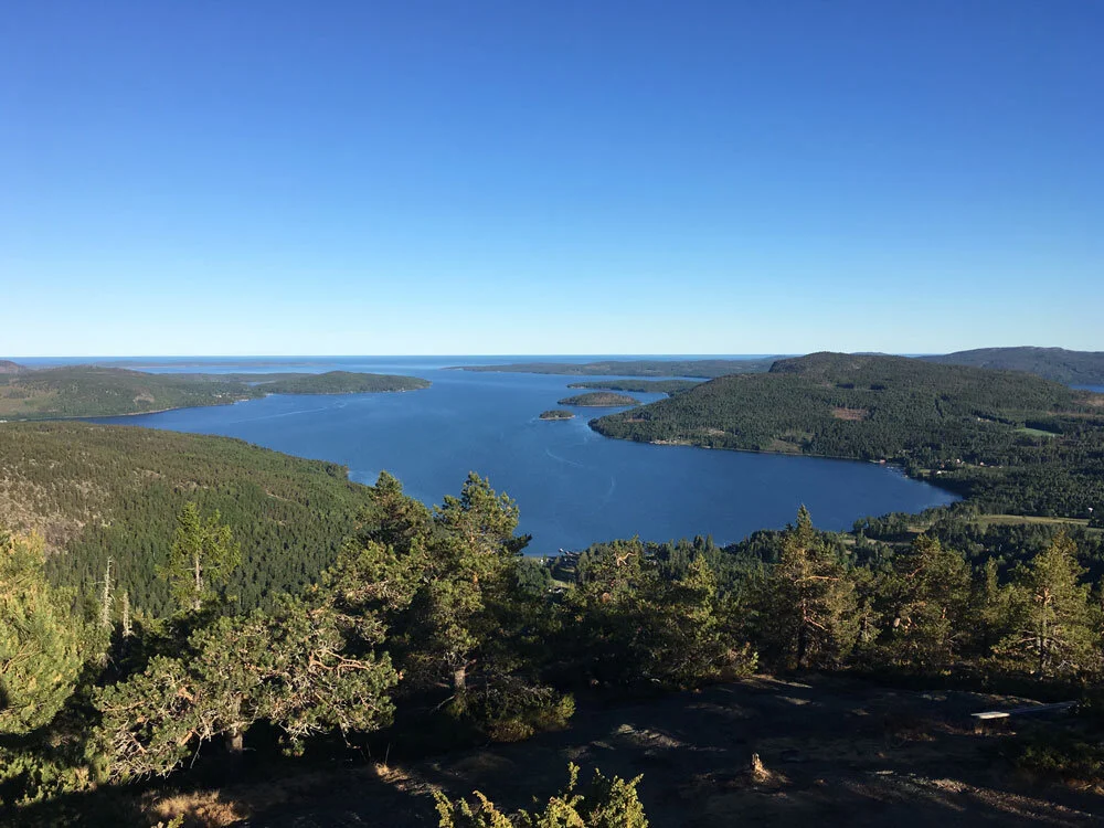 Trailrunning in the High Coast: the #BIG5 paths of the Skuleberget Mount