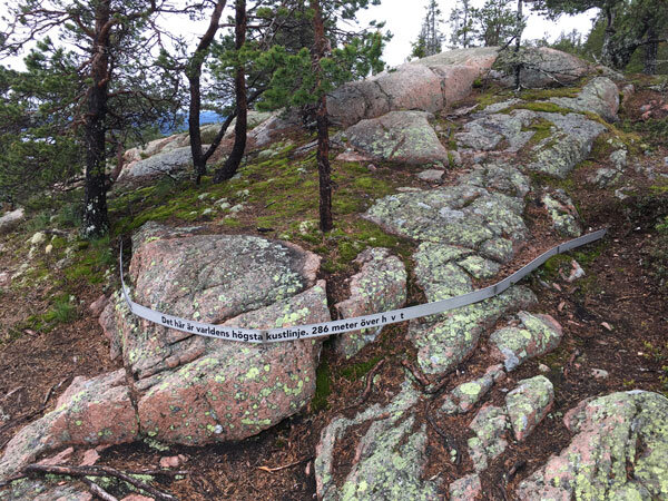 Trailrunning in the High Coast: the #BIG5 paths of the Skuleberget Mount