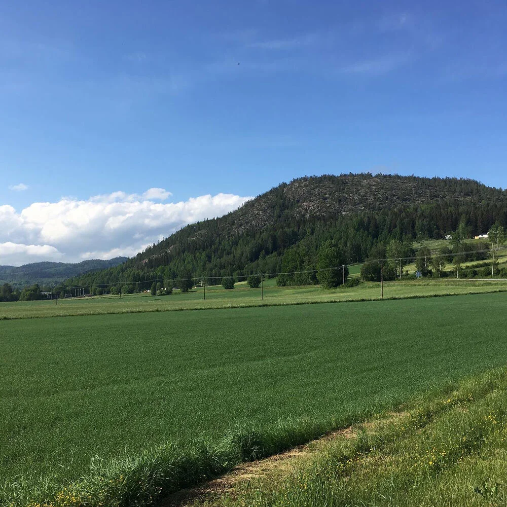 Get the route and map of the best hike at Skuleberget Mount in Docksta