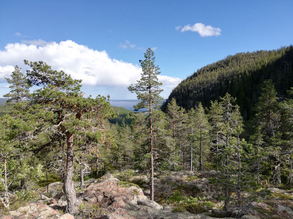 Get the route and map of the best hike at Skuleberget Mount in Docksta