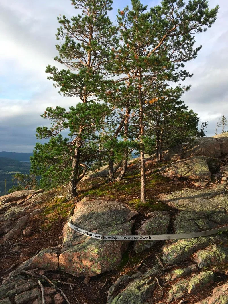 Get the route and map of the best hike at Skuleberget Mount in Docksta