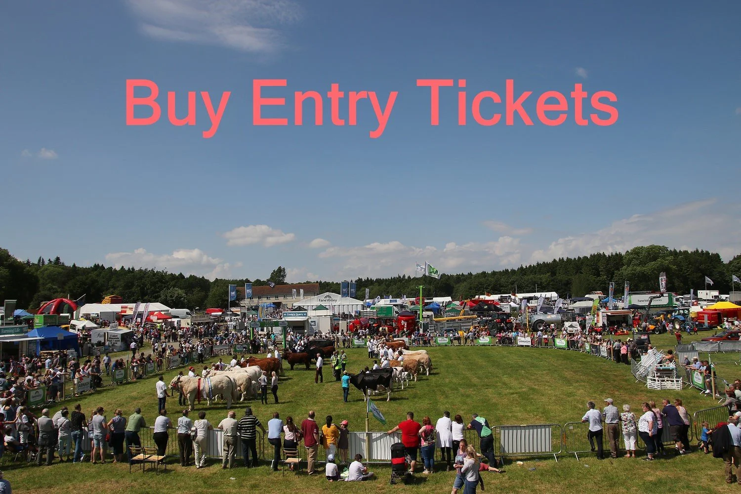 Armagh County Agriculture Show