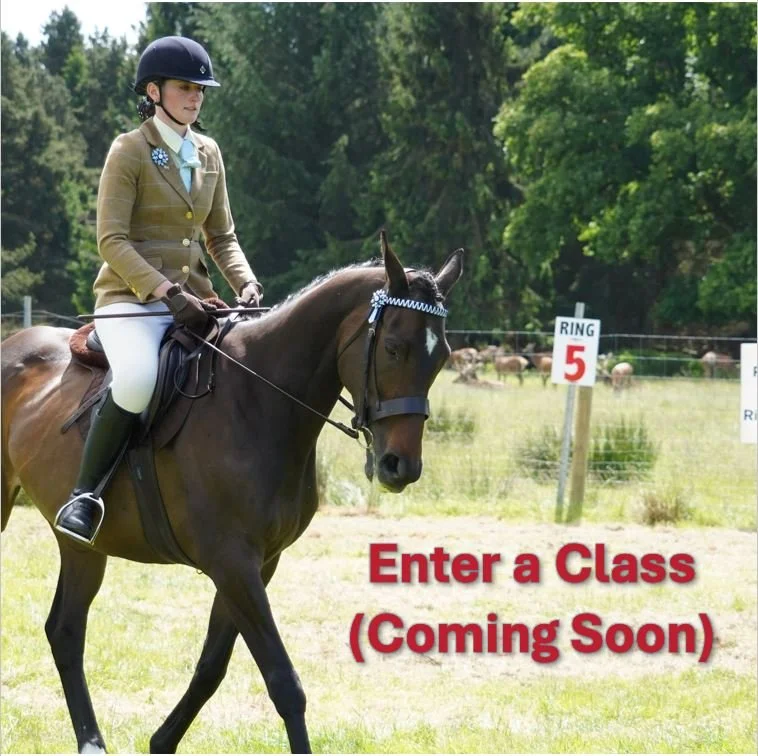 Armagh County Agriculture Show