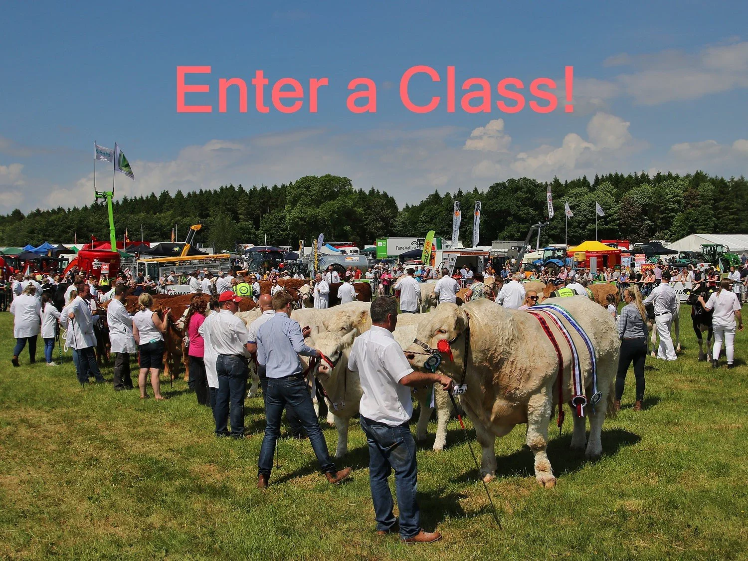 Armagh County Agriculture Show
