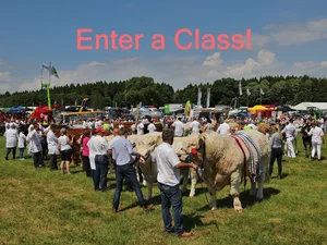 Armagh County Agriculture Show
