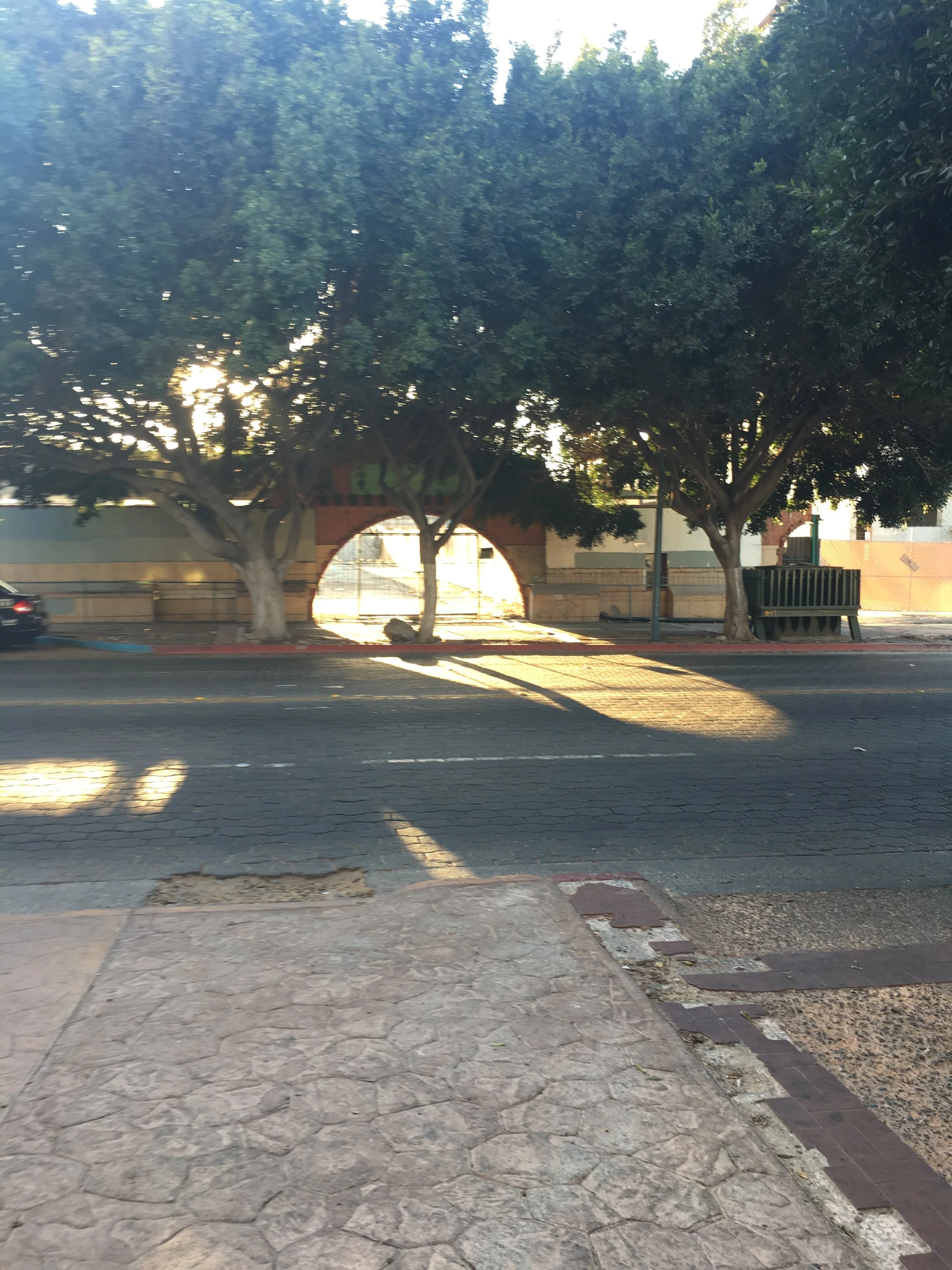 9 Hours in Tijuana — Carolyn Adventure Tours