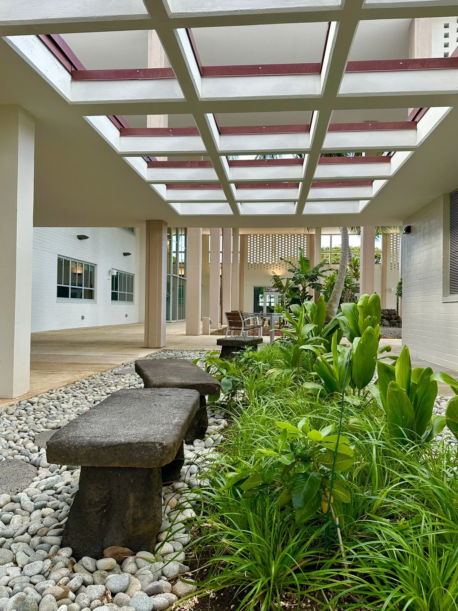 Campus Architecture - UH-Manoa — Carolyn Adventure Tours