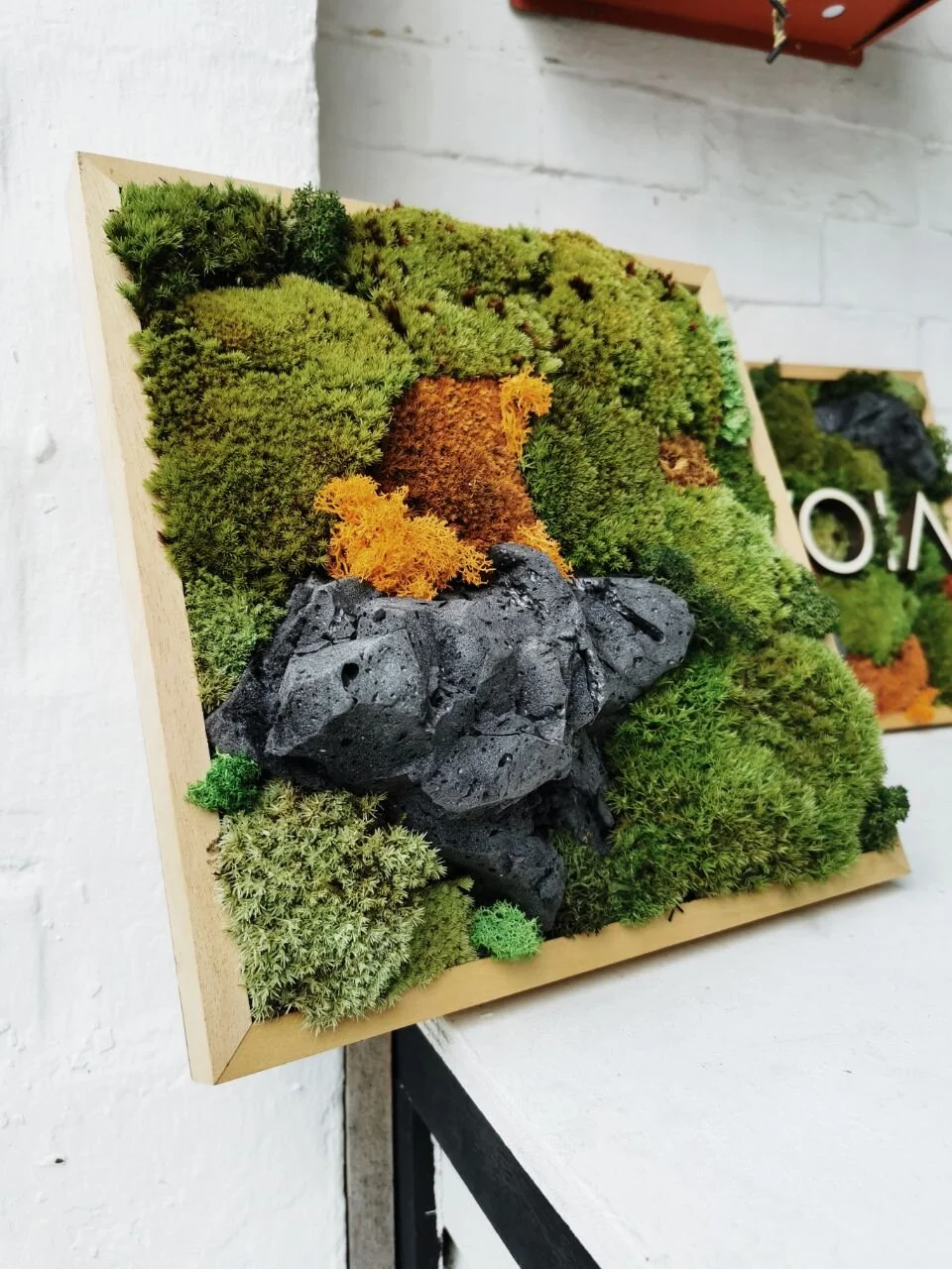 Moss Frames | InOut Atelier