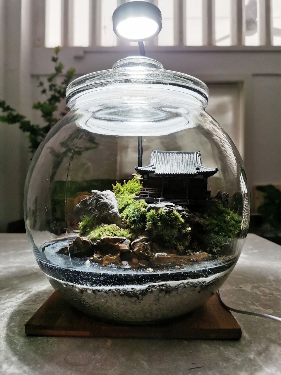 Terrarium Lamp | InOut Atelier