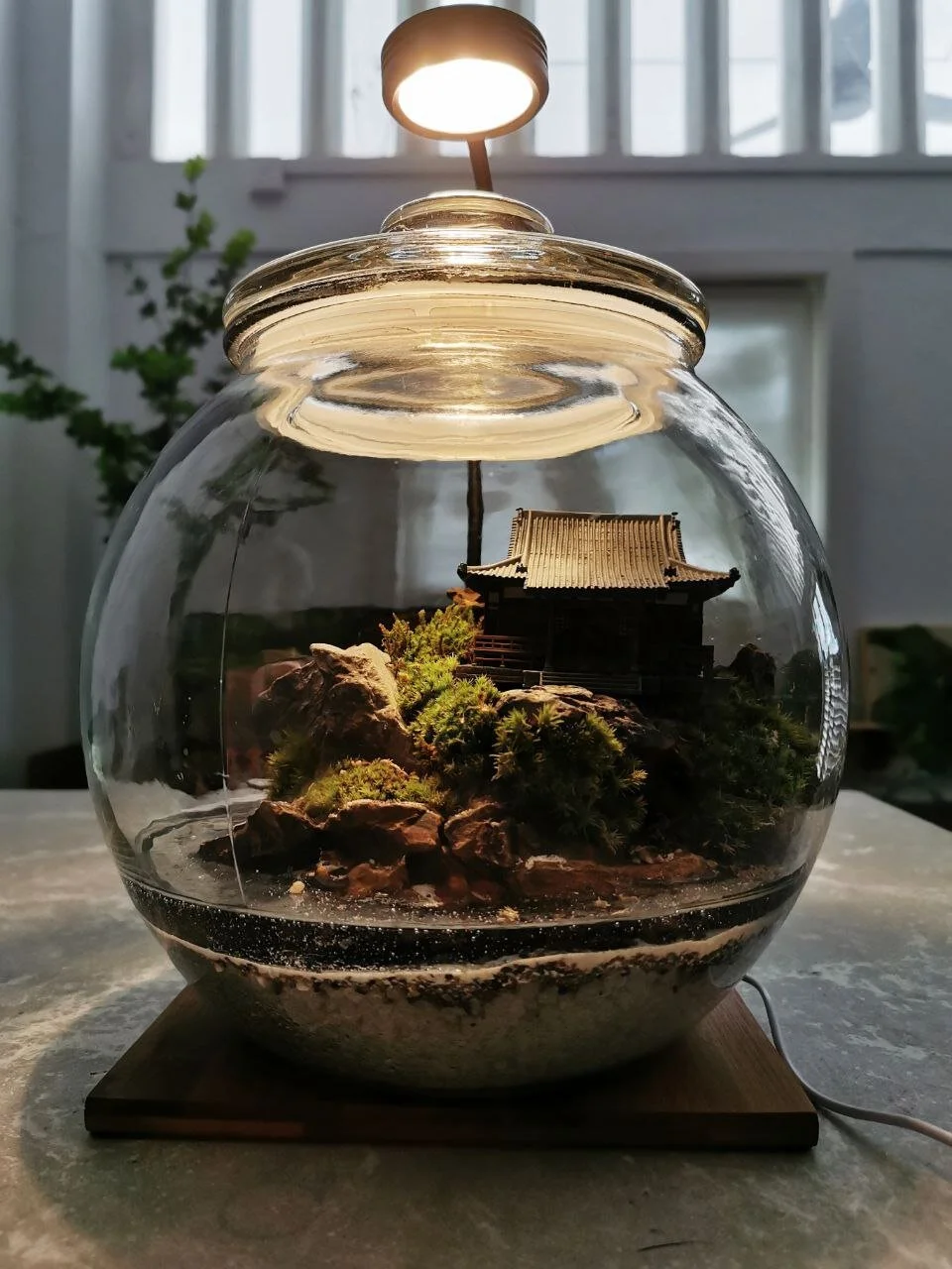Terrarium Lamp | InOut Atelier