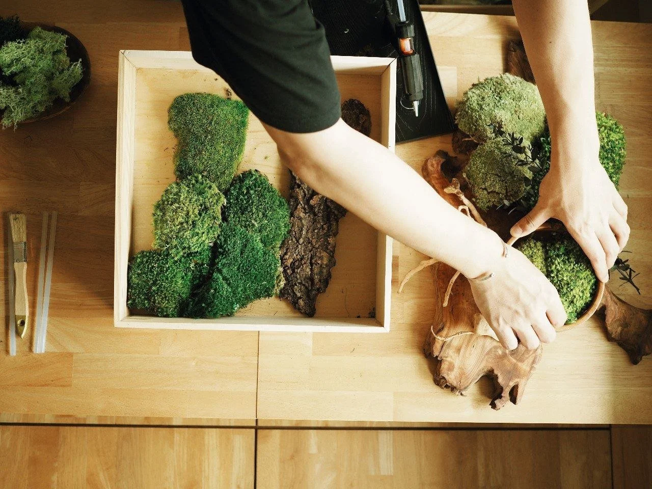 MOSS IT YOURSELF (diy kit) | InOut Atelier