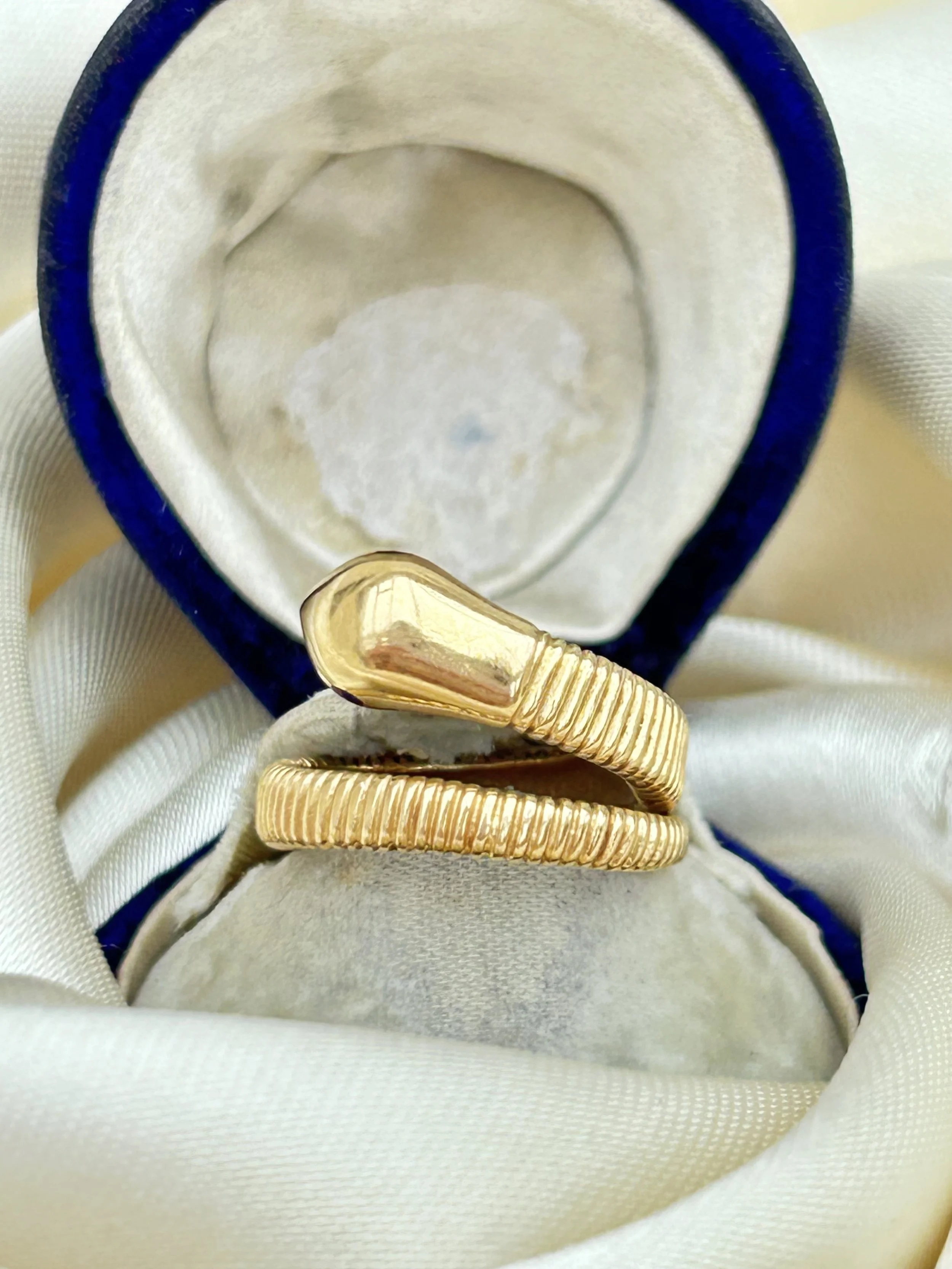 SNAKES — Gembank1973