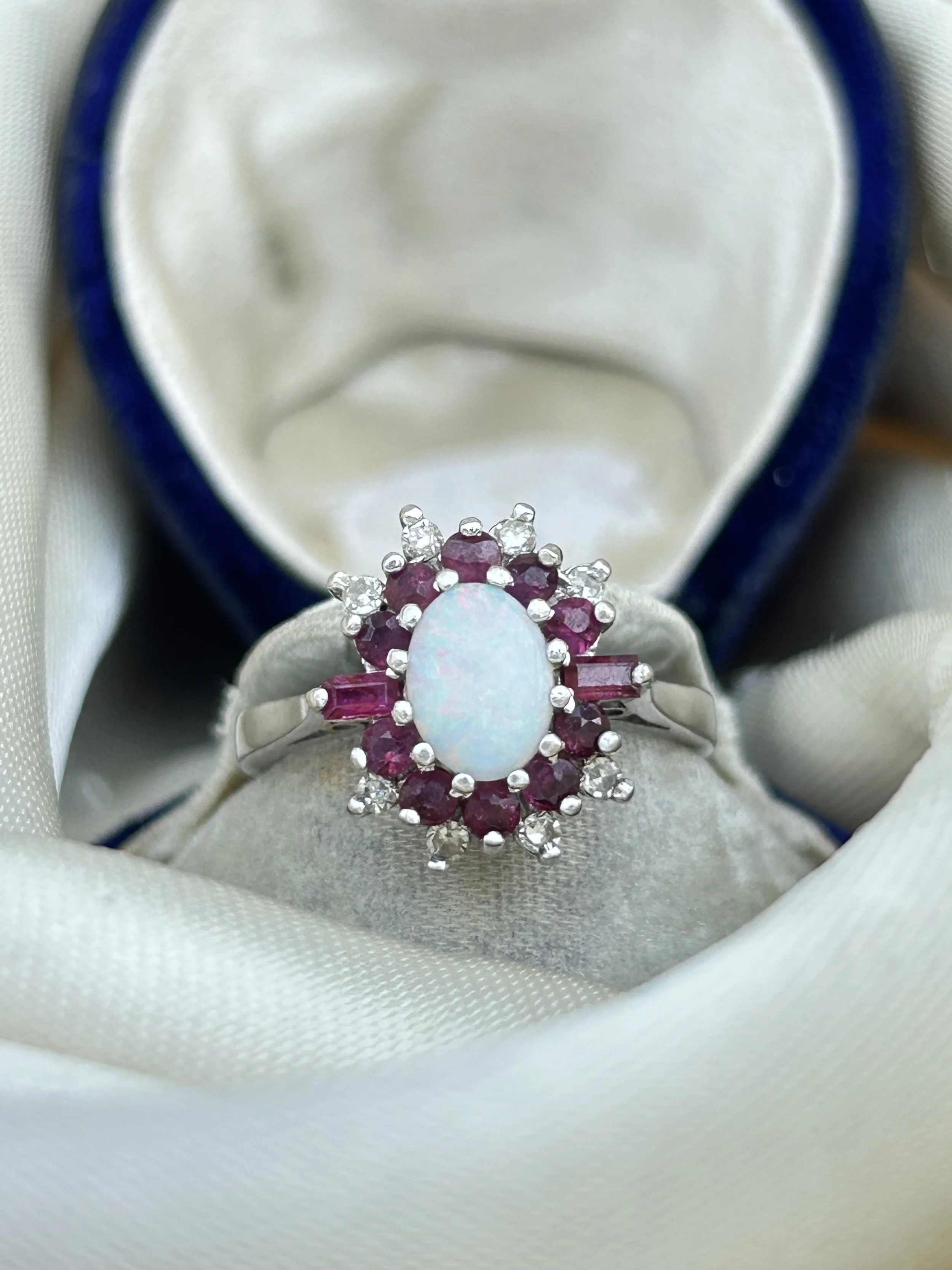 MULTIGEM — Gembank1973