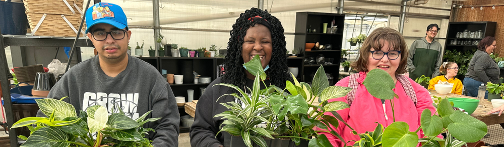 Annual Report 2022 — A New Leaf