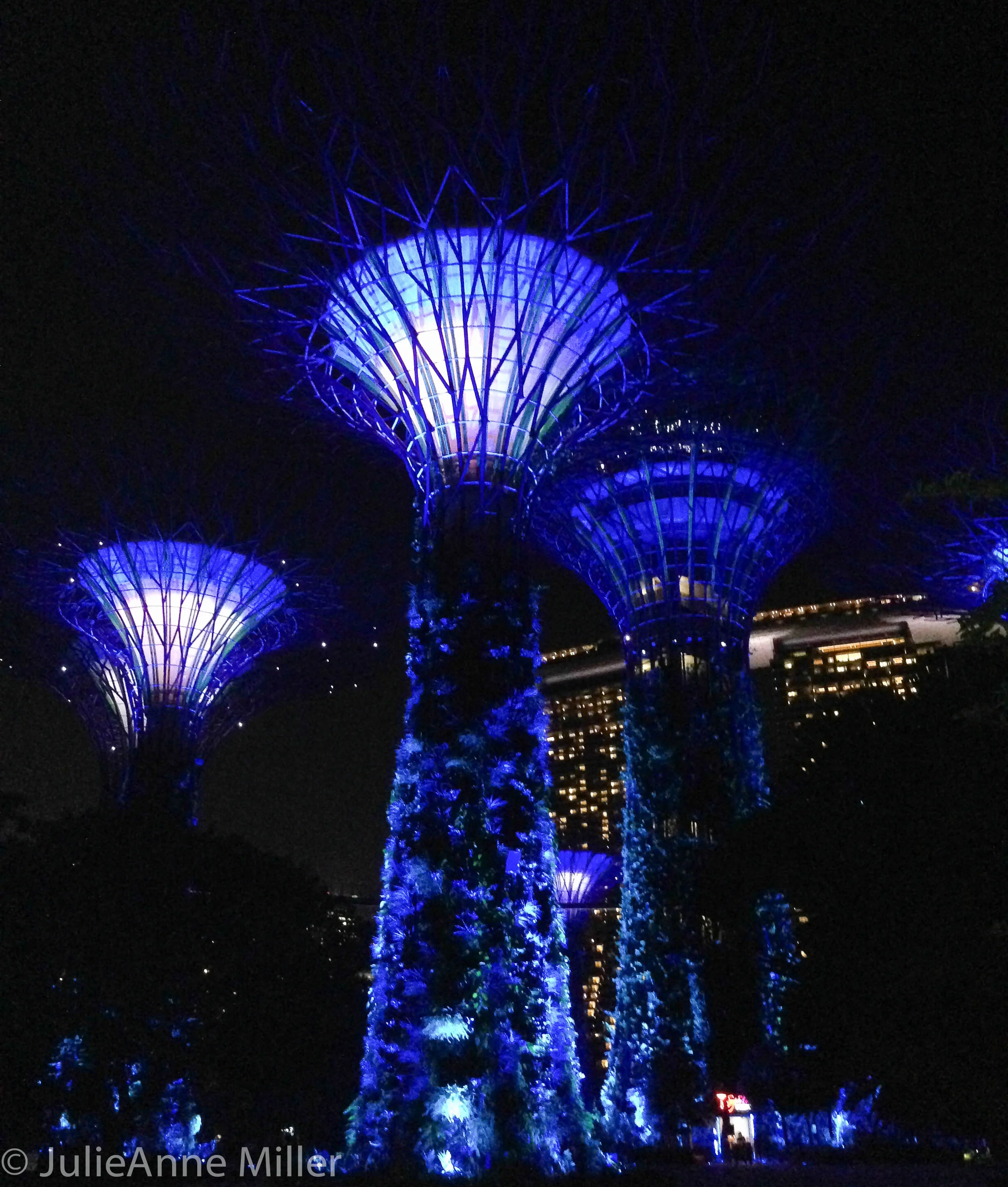 Super Trees: Gardens by the Bay — Travel Is Zen