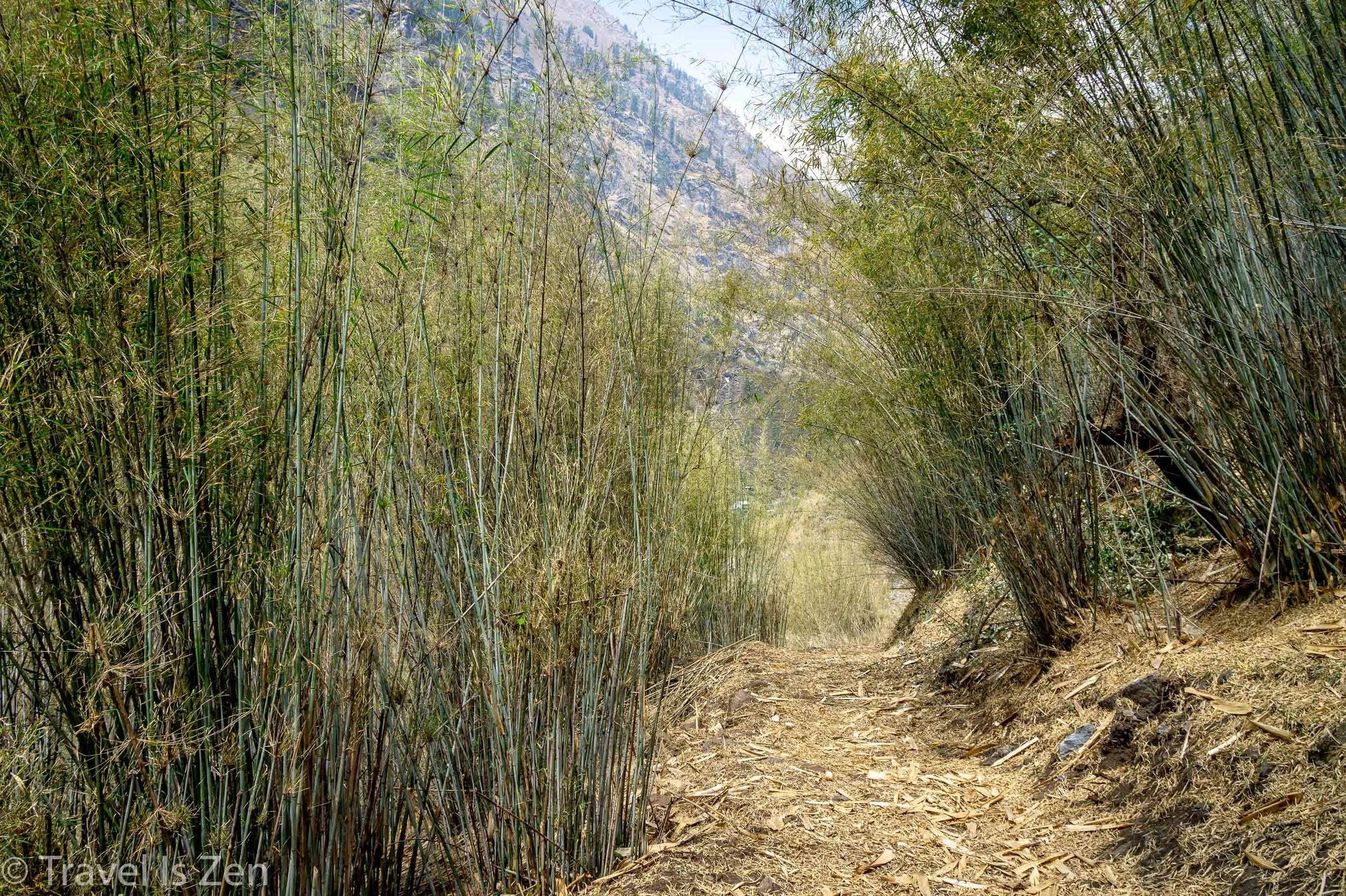 Annapurna Circuit Day 1: Chamje to Dharapani — Travel Is Zen