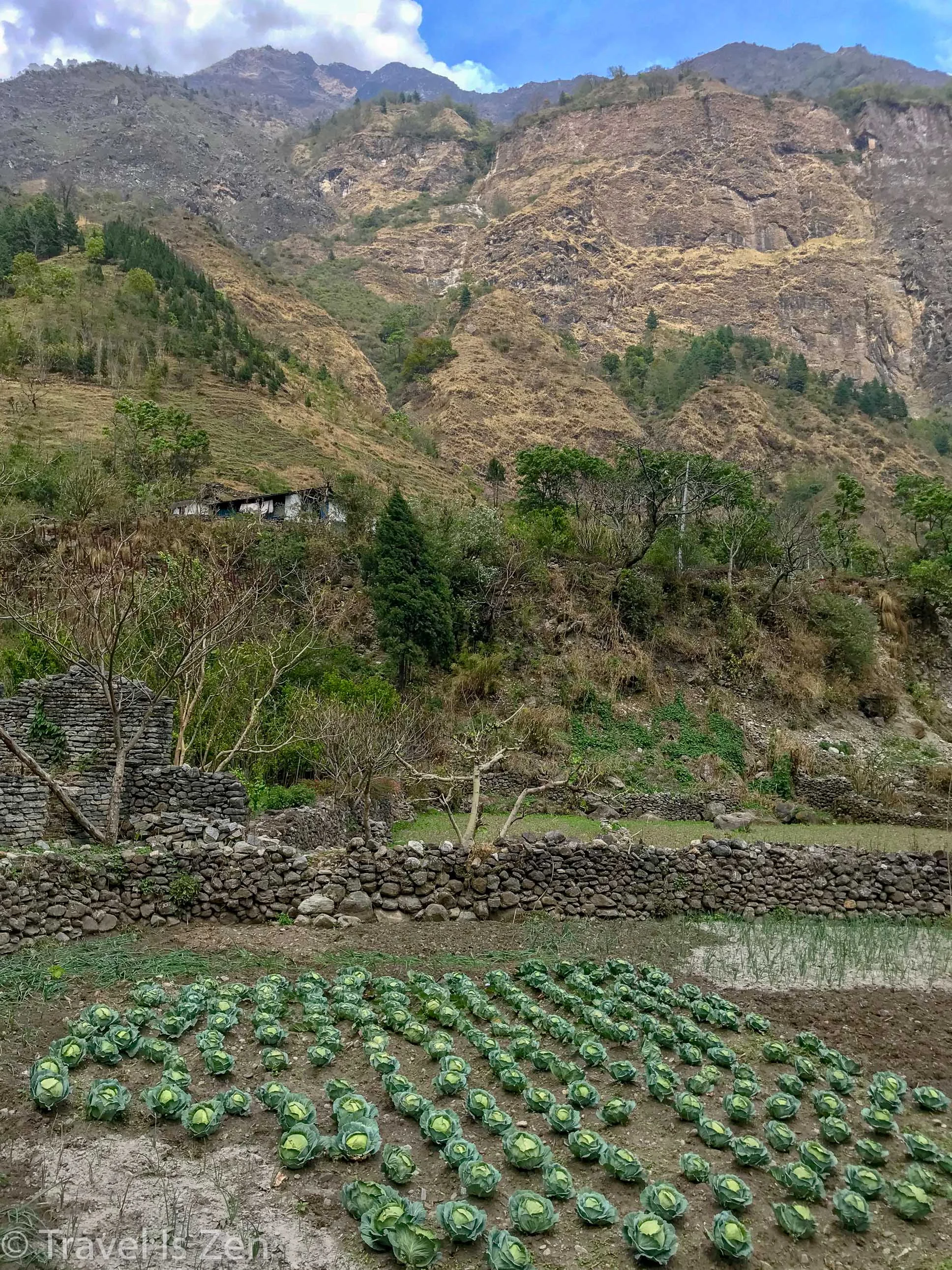 Annapurna Circuit Day 17: Kalopani to Tatopani — Travel Is Zen