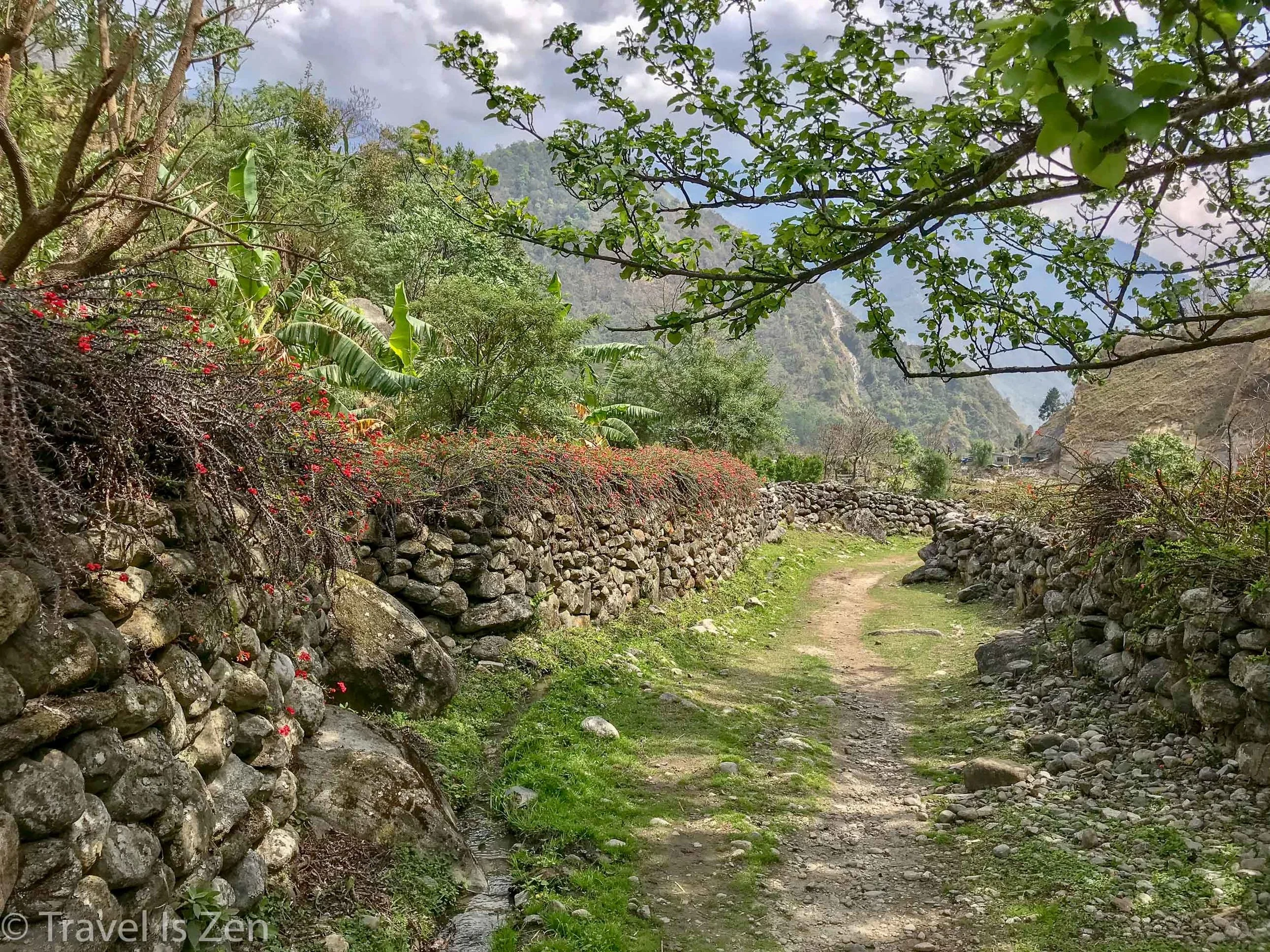 Annapurna Circuit Day 17: Kalopani to Tatopani — Travel Is Zen