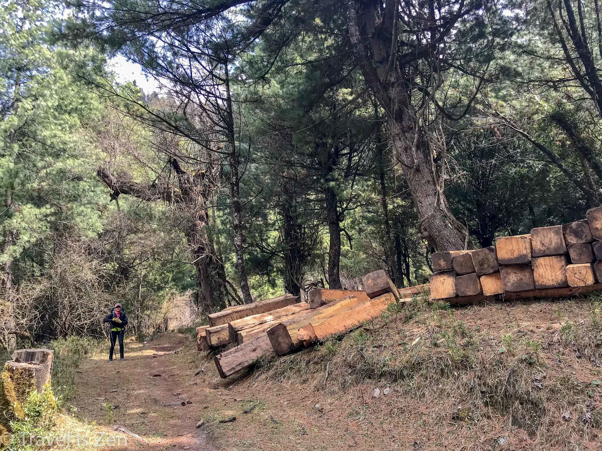 Annapurna Circuit Days 15 and 16: Marpha to Kalopani and REST — Travel ...
