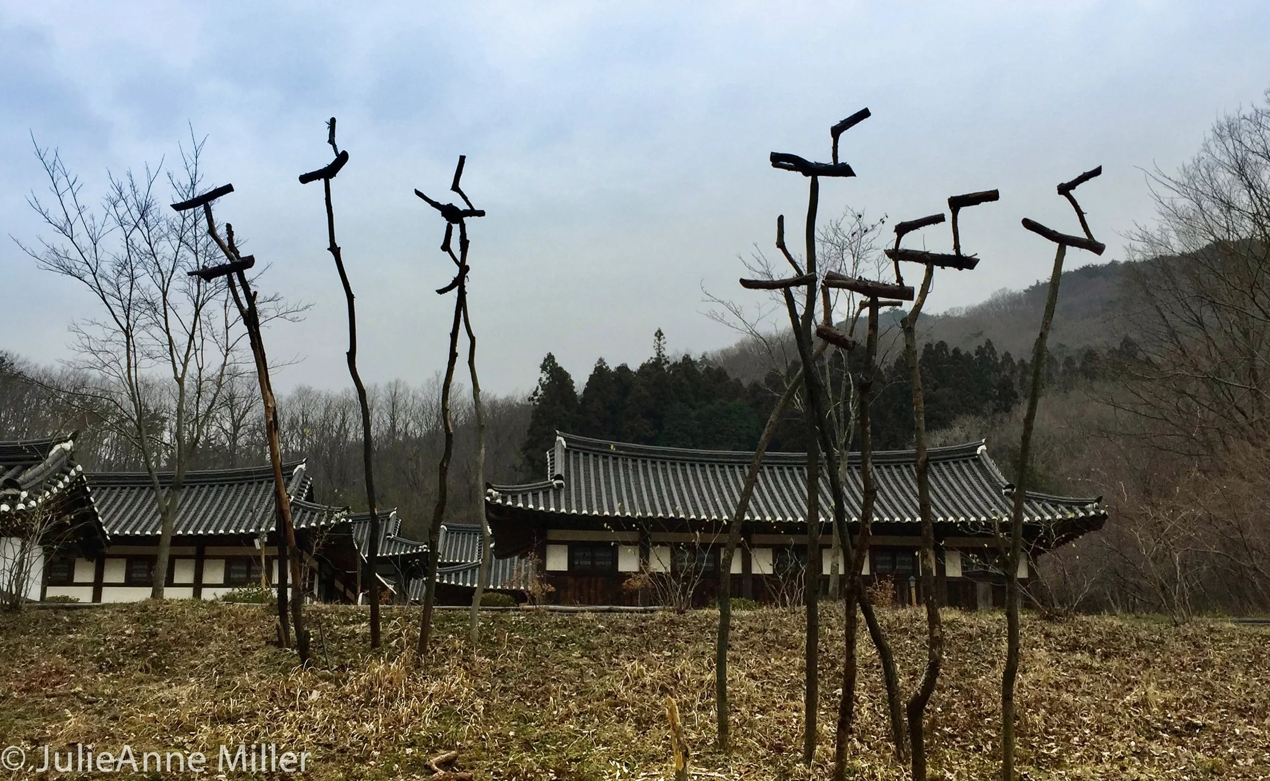 Weekend Zen in Suncheon — Travel Is Zen