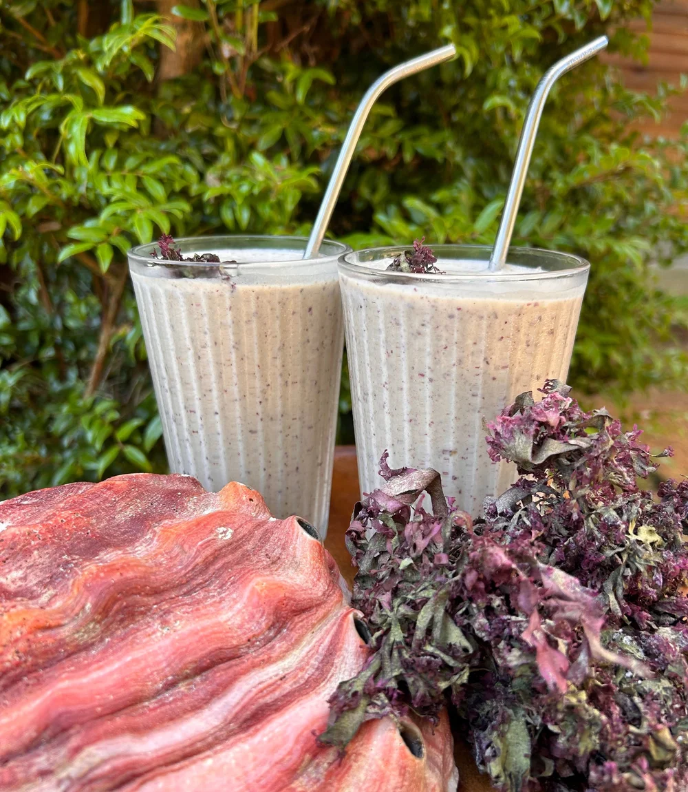 The Seaweed Feed — Sunken Seaweed