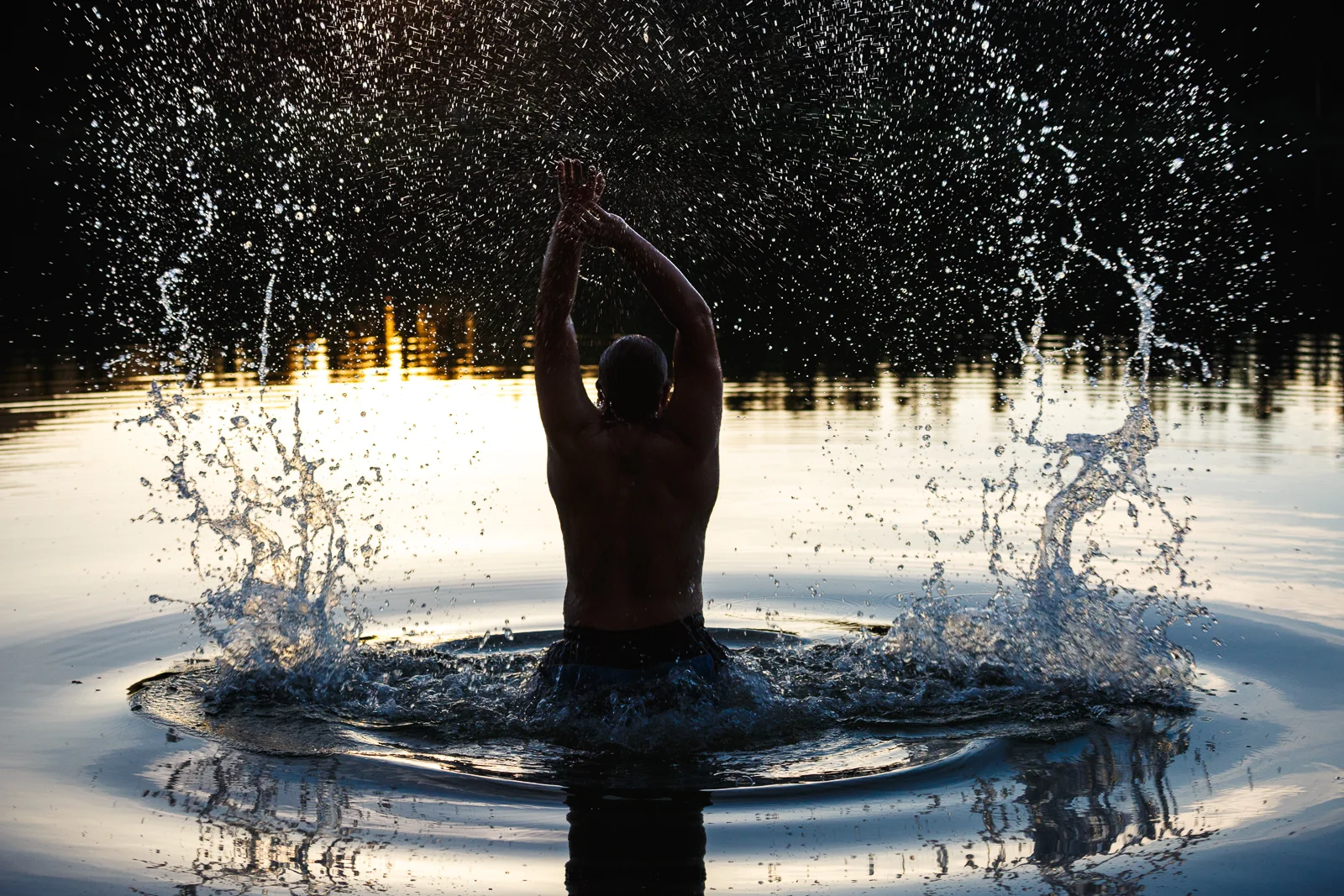 tom aldrich