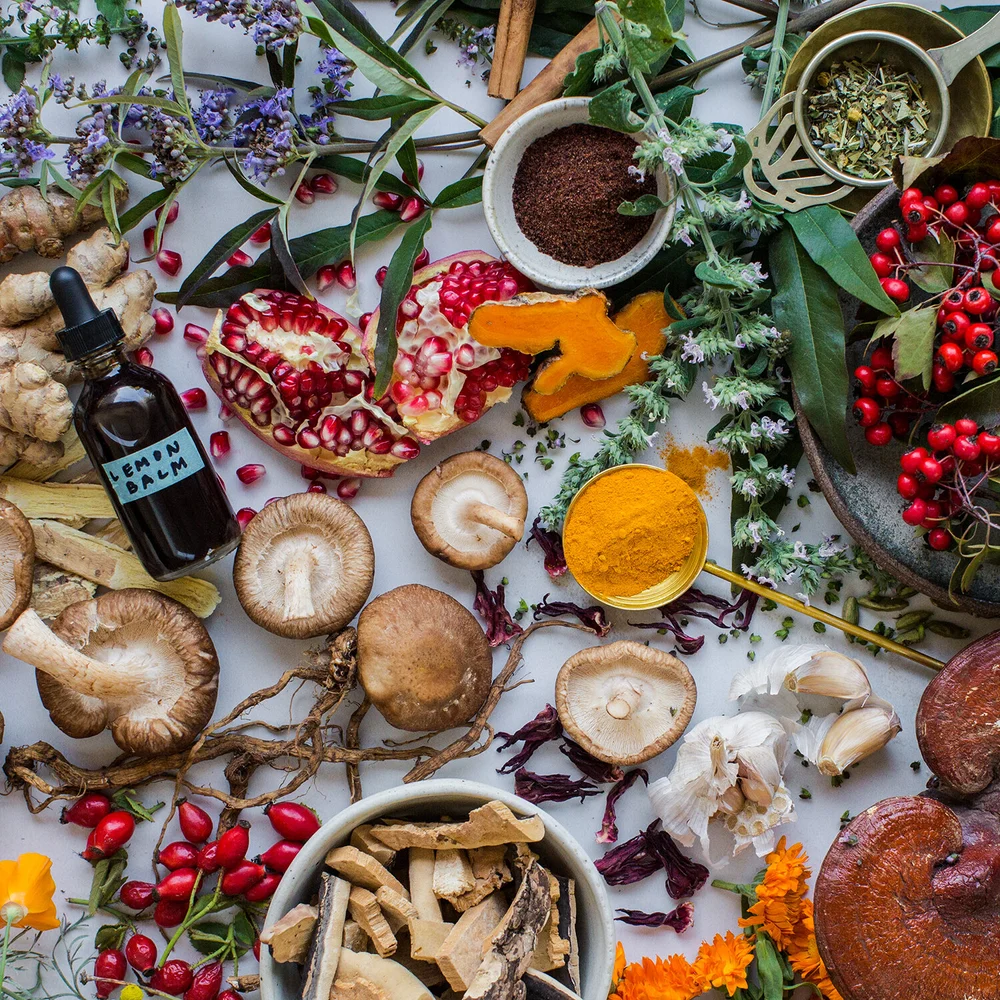 The Shop — The Kosmic Kitchen