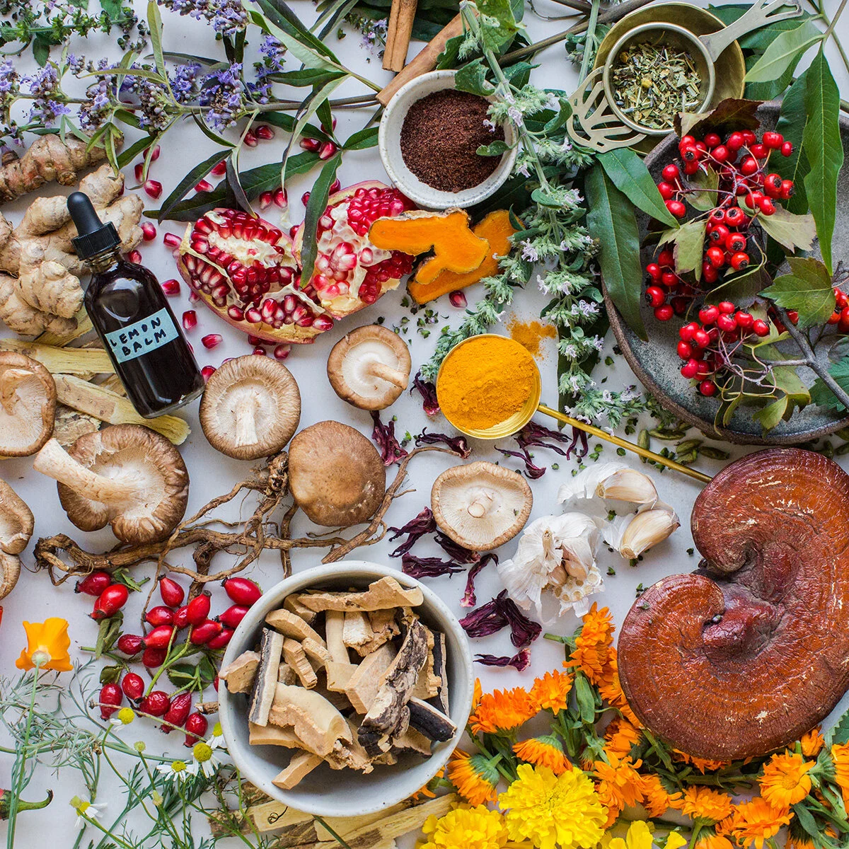 The Kosmic Kitchen Cookbook — The Kosmic Kitchen