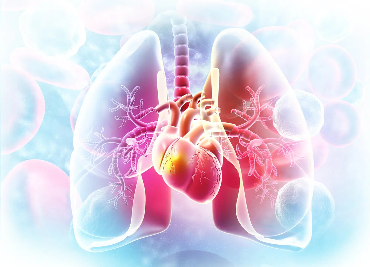 What Are The Health Benefits Of Vitamin K what-are-the-health-benefits-of-vitamin-k