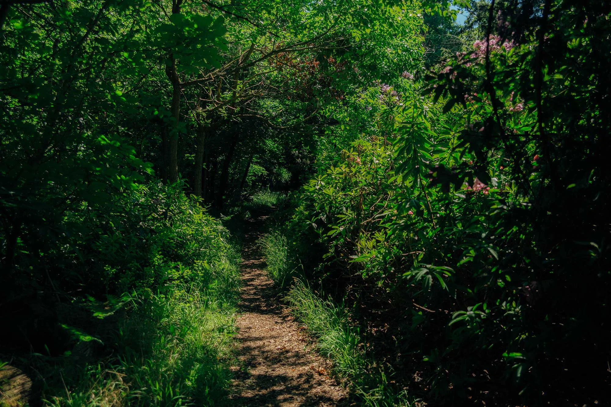 About — Keston Park