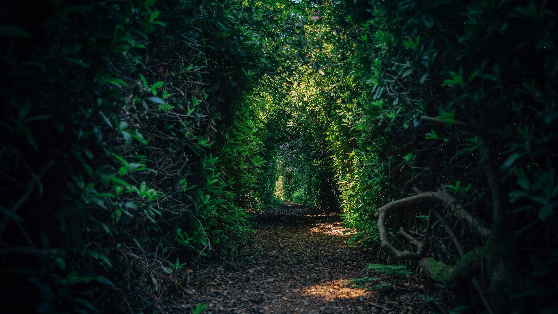 About — Keston Park
