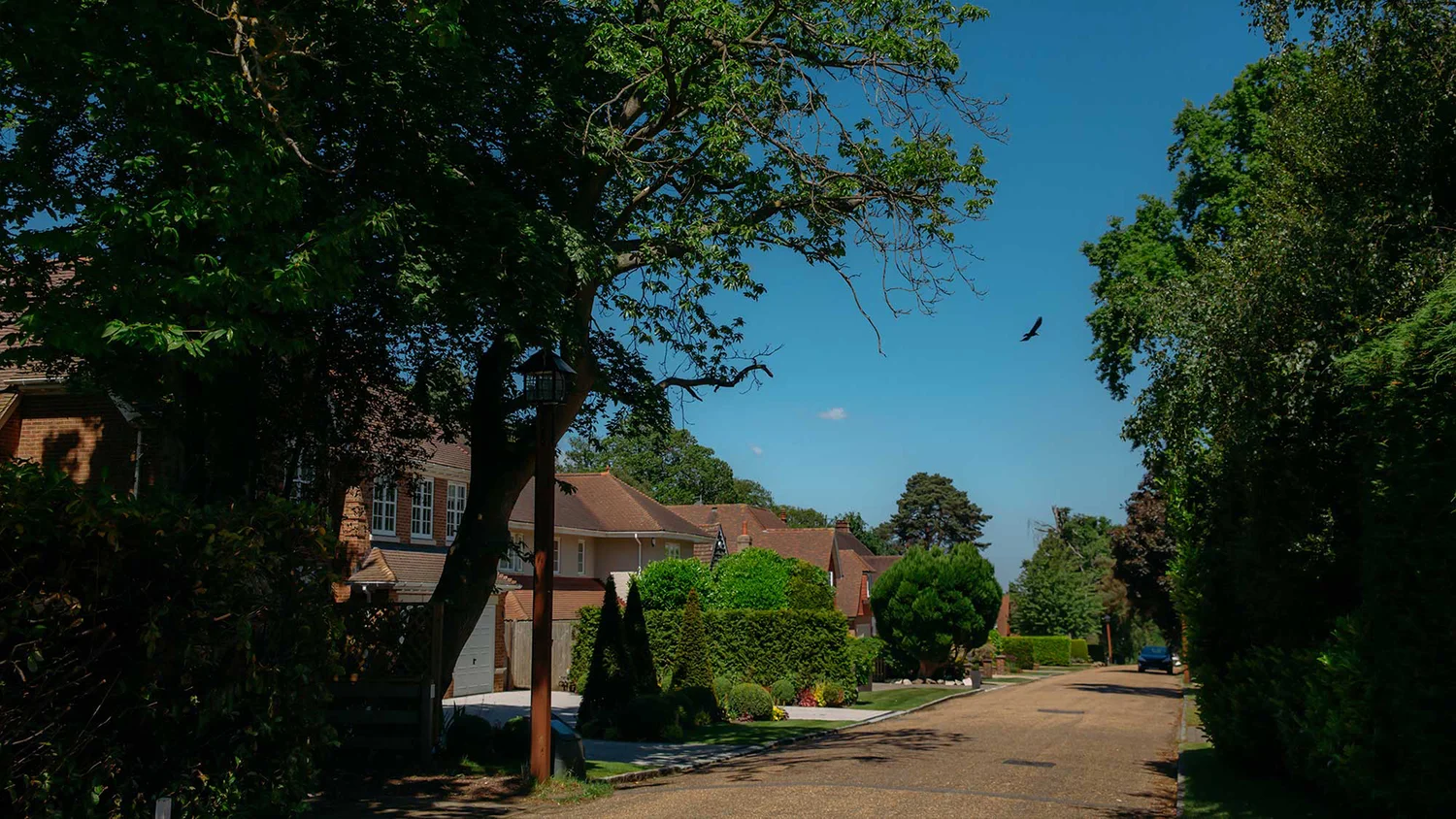 About — Keston Park